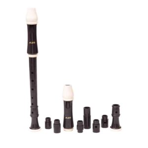 Recorders - Music is Elementary