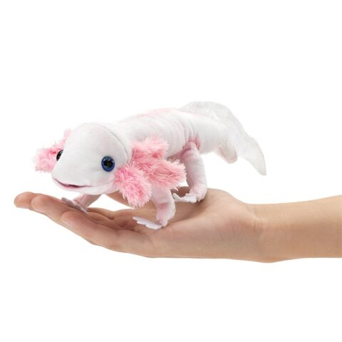 Axolotl - Music is Elementary